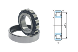 N-NU-NJ-NF-NUP Cylindrical Roller Bearings Comparison - TFL