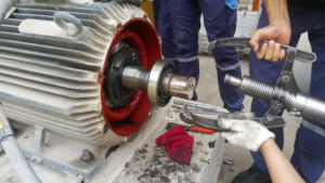 The Fixed End of Motor Bearings: Front or Back? | TFL